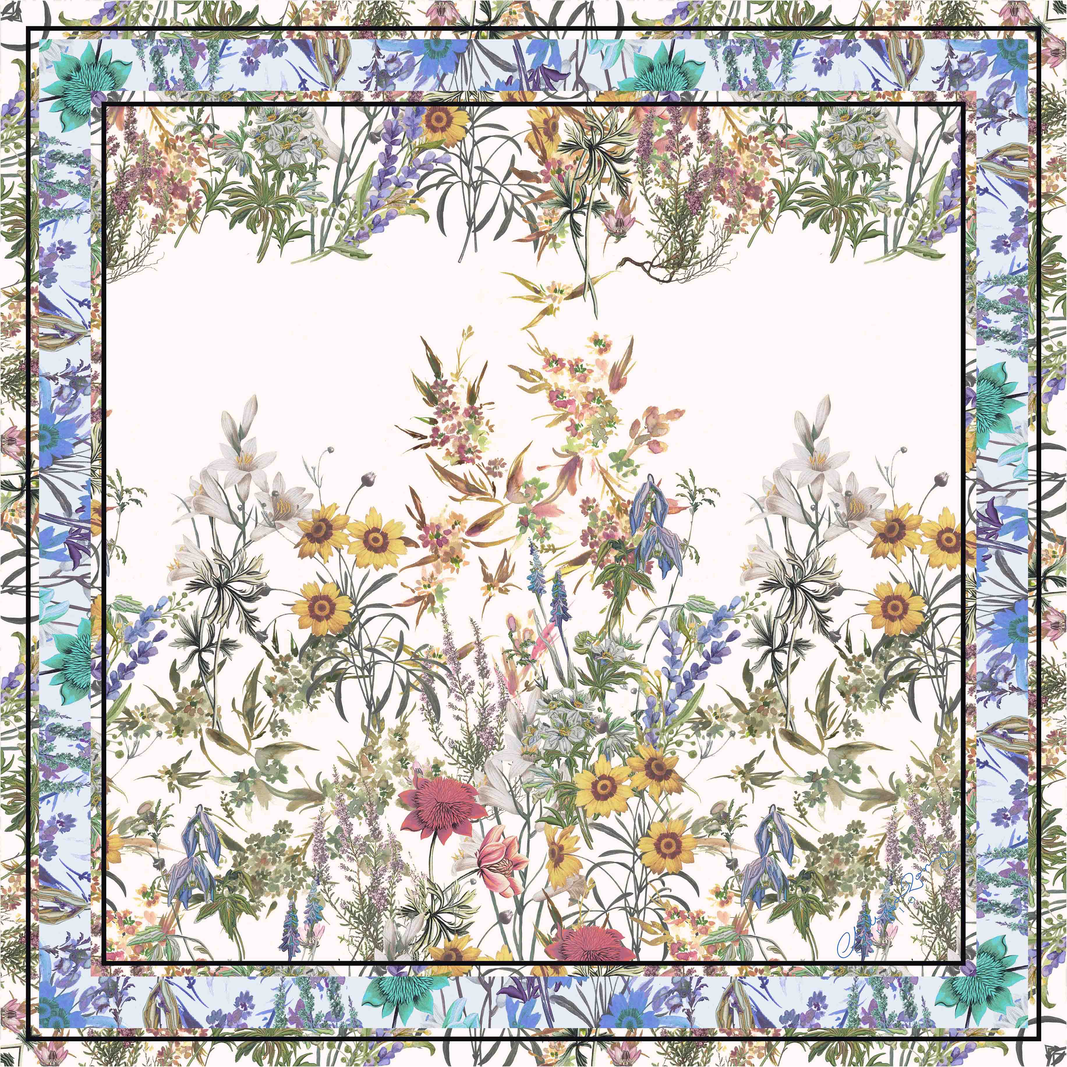 Field of Dreams – Gabiano NZ Limited